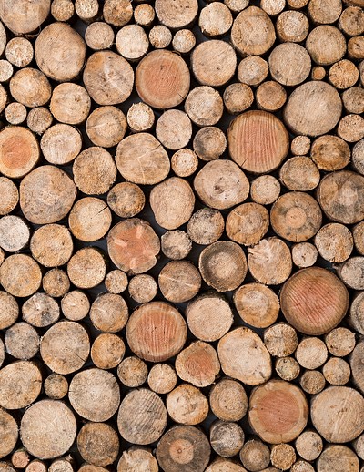 Cut wood log texture background, | Free Photo - rawpixel