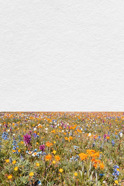 Spring flower field background, aesthetic | Free Photo - rawpixel