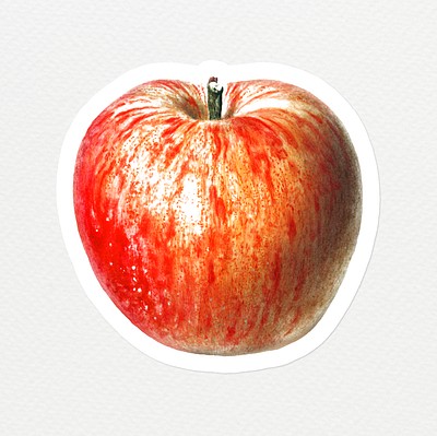 Hand drawn red apple sticker | Premium PNG Sticker - rawpixel