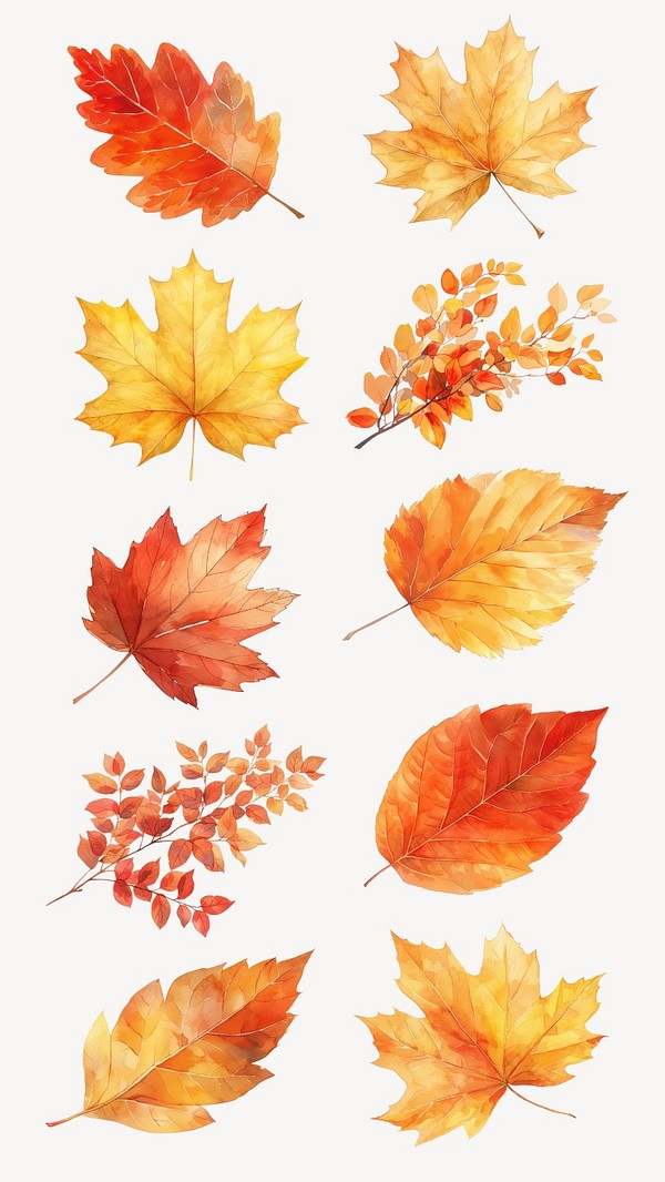Autumn leaf watercolor set, editable | Premium Editable Design - rawpixel