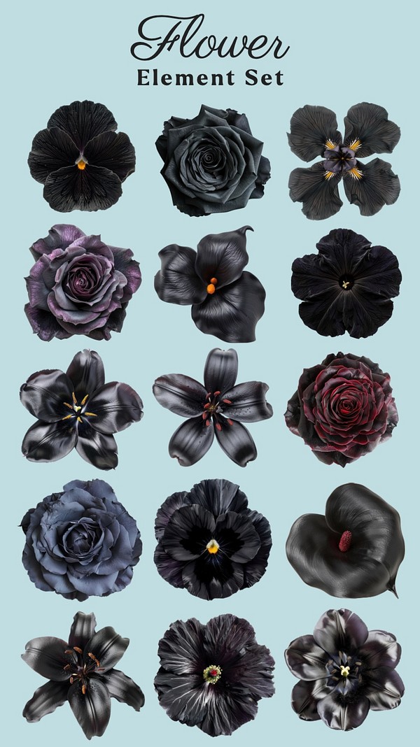 Editable blooming black flower design | Premium Editable Design - rawpixel
