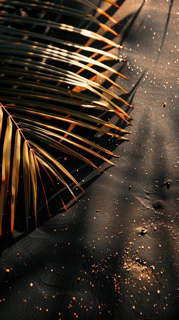 Sand beach wallpaper background water | Free Photo - rawpixel