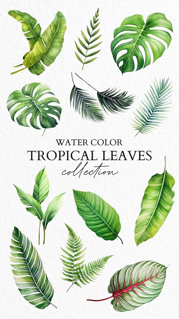 Watercolor tropical leaf design element | Free Photo - rawpixel