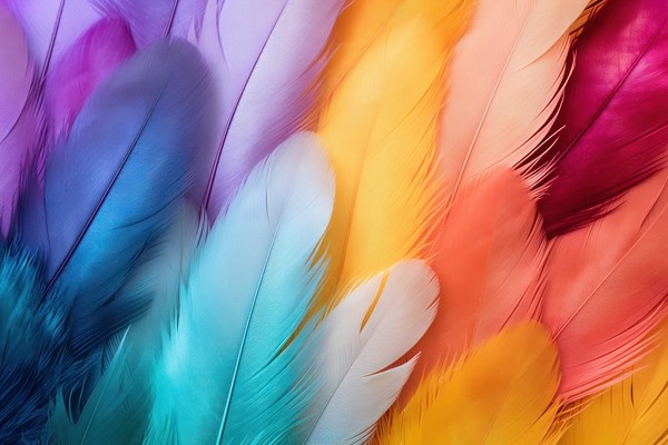 Feather background backgrounds pattern lightweight. | Free Photo - rawpixel
