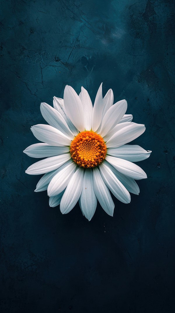 Aerial top view Flower flower | Premium Photo - rawpixel