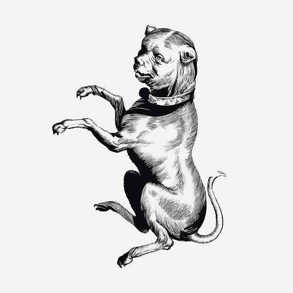 Creepy dog drawing, vintage mythical | Free PSD - rawpixel