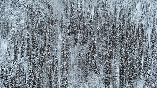 Nature desktop wallpaper background, scenic | Free Photo - rawpixel