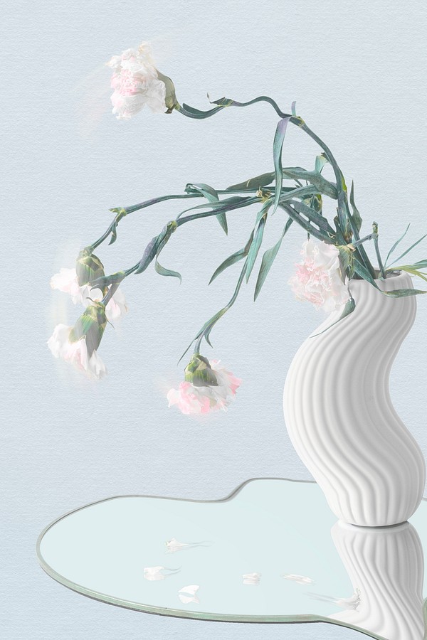 Abstract background wallpaper, white rose | Free Photo - rawpixel