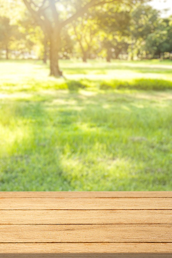Nature product backdrop, green backyard | Premium Photo - rawpixel