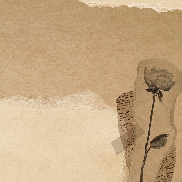 Vintage background, rose brown paper | Premium Vector - rawpixel