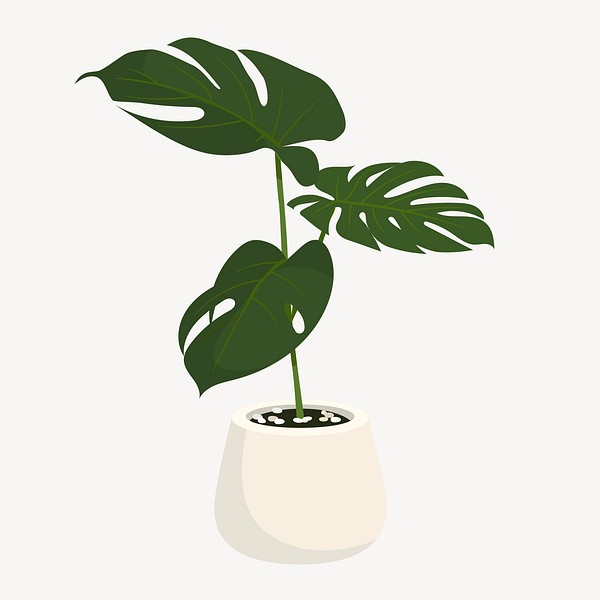 Monstera clipart, cute cartoon illustration | Premium PSD - rawpixel