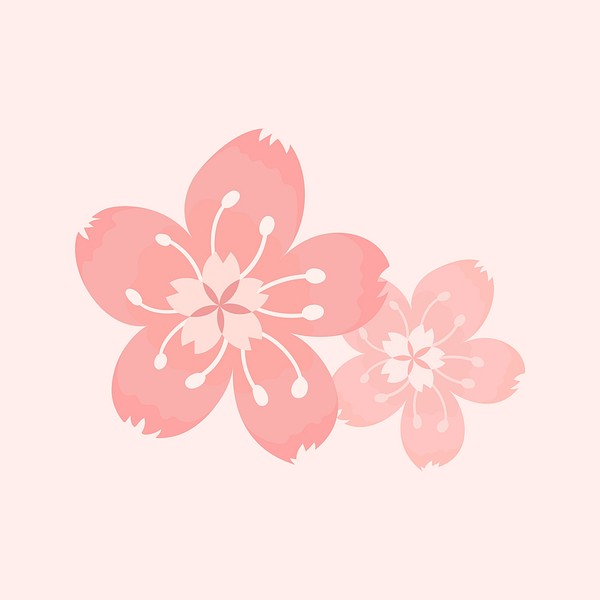 Pink sakura vector design element | Premium Vector - rawpixel