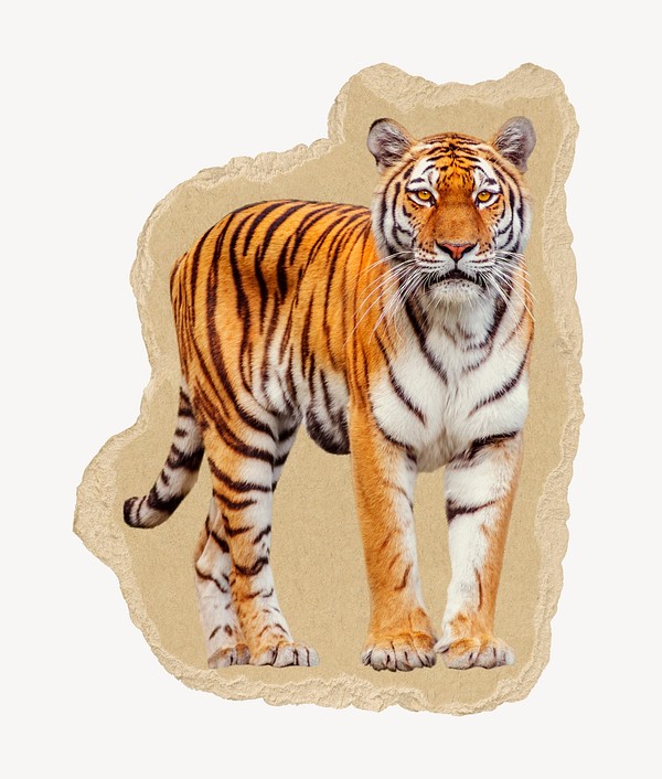 Tiger on brown ripped paper | Free Photo - rawpixel