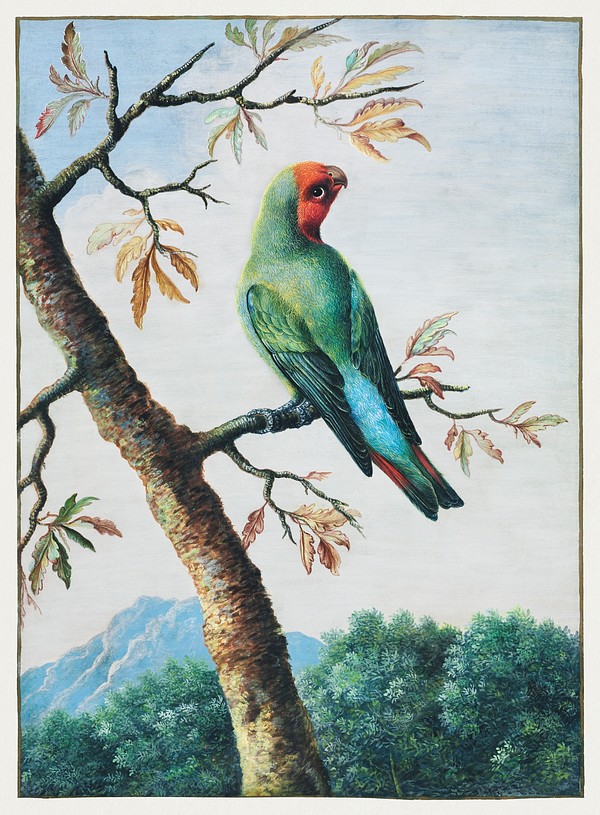 Bird Study painting high resolution | Free Photo Illustration - rawpixel