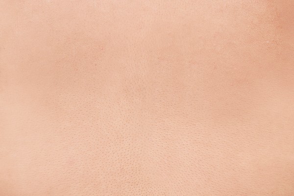 Light skin natural complexion closeup | Free Photo - rawpixel