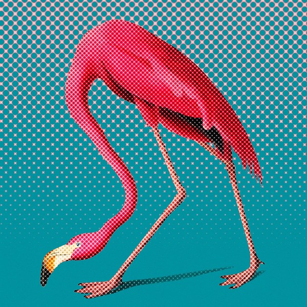 Pink flamingo halftone style on a blue | Premium PSD - rawpixel