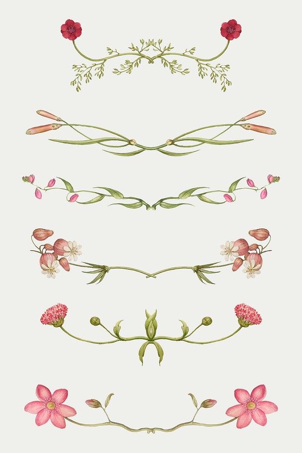 Flower floral flourish design vector | Premium Vector - rawpixel