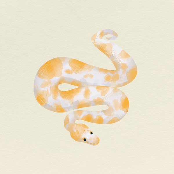 Ball Python on a beige | Premium Vector Illustration - rawpixel