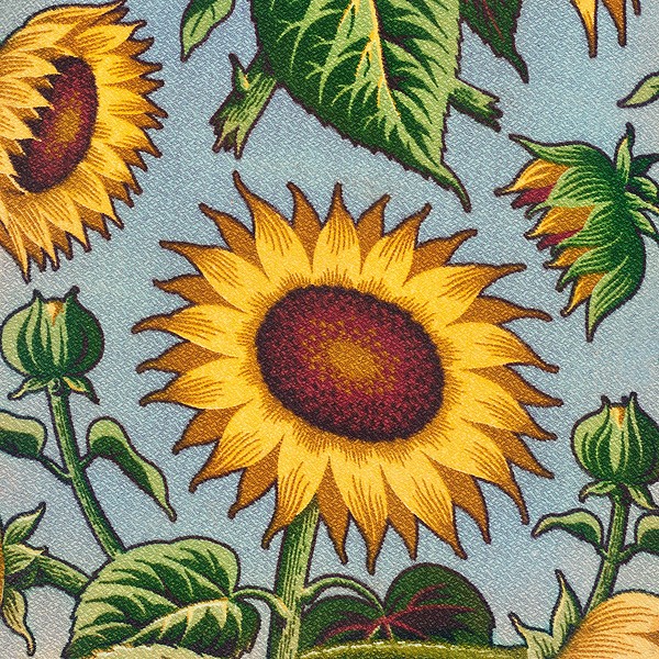 Sunflower pattern. Original Smithsonian Institution. | Free Photo ...