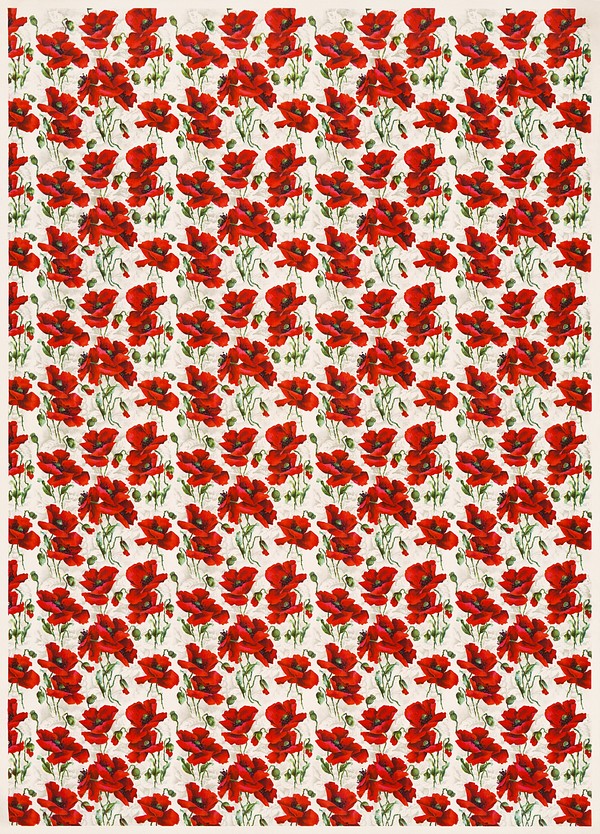 Red poppy design (1911). Original | Free Photo Illustration - rawpixel