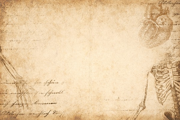 Vintage human skeleton background, beige | Premium Photo Illustration ...