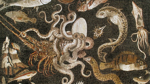 Vintage sea animal pattern desktop | Free Photo Illustration - rawpixel