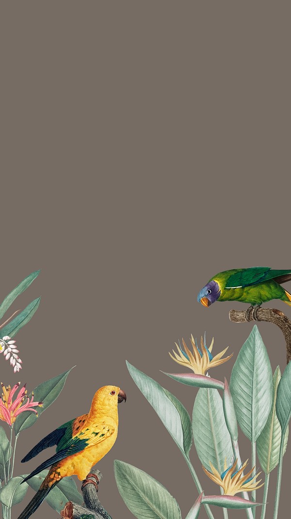 Spring design, earth tone iPhone | Free Photo - rawpixel