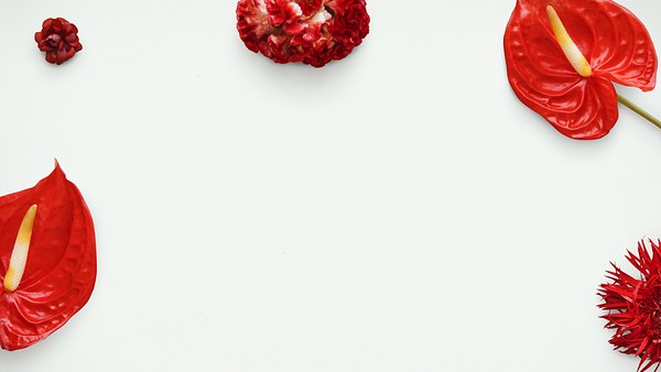 Anthurium flower border HD wallpaper | Premium Photo - rawpixel