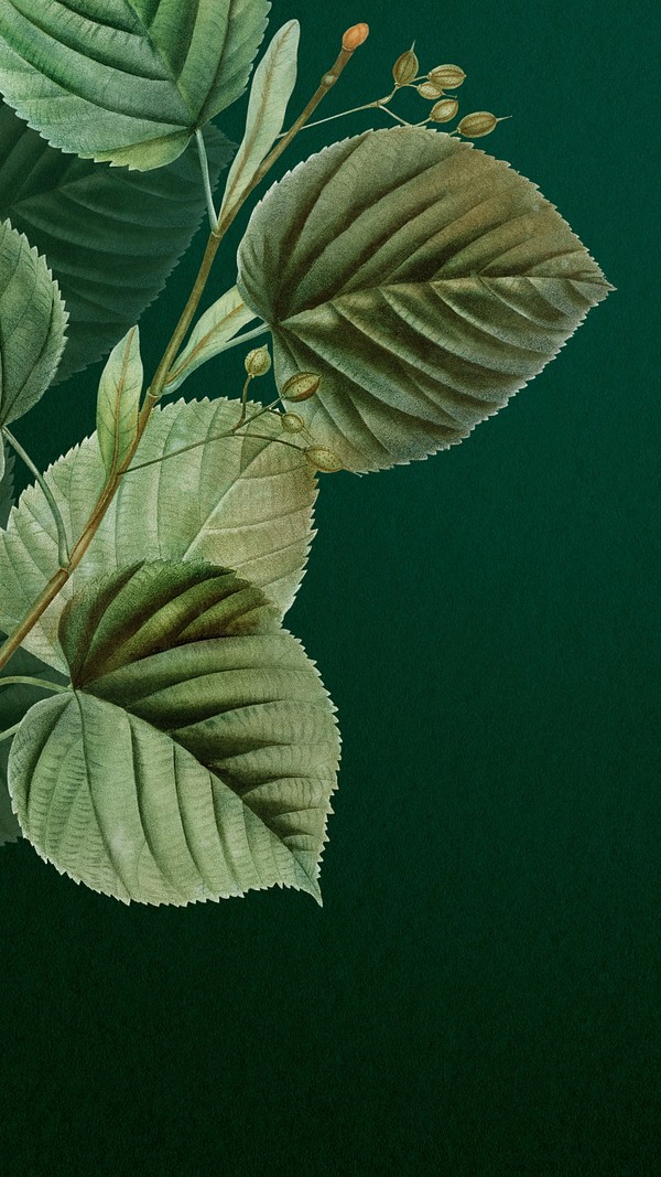 Leaf border mobile wallpaper | Premium Photo - rawpixel