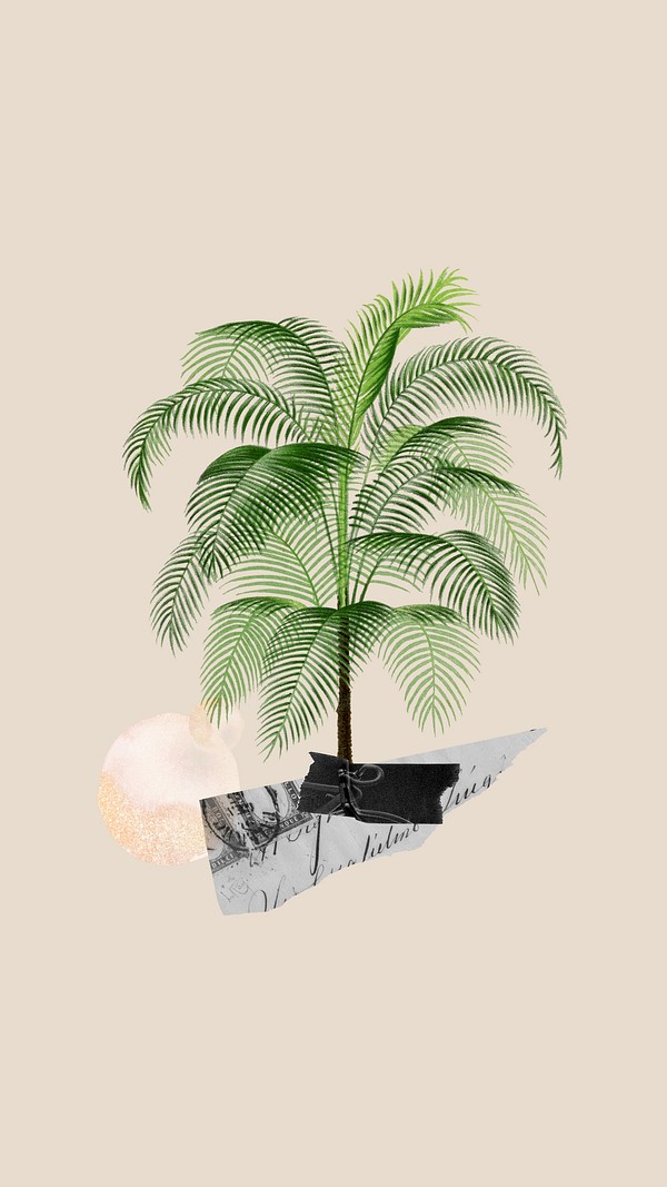 Aesthetic tree beige iPhone wallpaper | Premium Photo - rawpixel