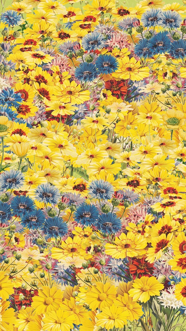 Yellow flower field phone wallpaper, | Premium Photo - rawpixel