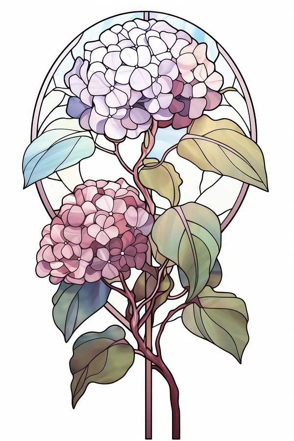 Glass Hydrangea art hydrangea drawing | Free Photo Illustration - rawpixel