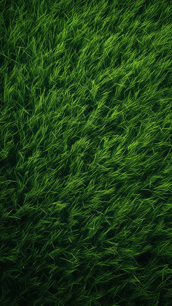 Greengrass field nature outdoors plant | Premium Photo - rawpixel
