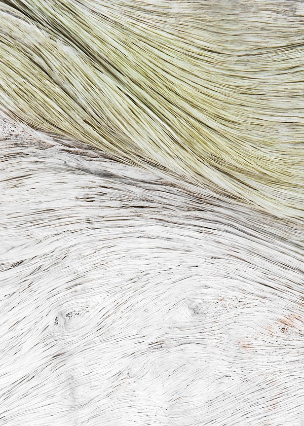 Abstract texture, artificial fur carpet | Free Photo - rawpixel