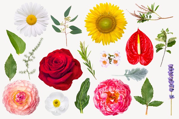Spring flower clipart, design element | Premium PSD - rawpixel