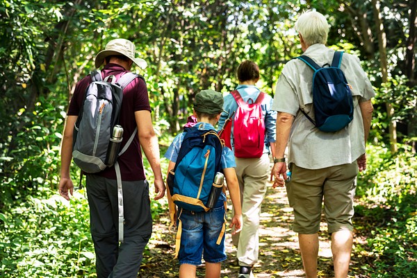 Family hiking in a forest | Premium Photo - rawpixel