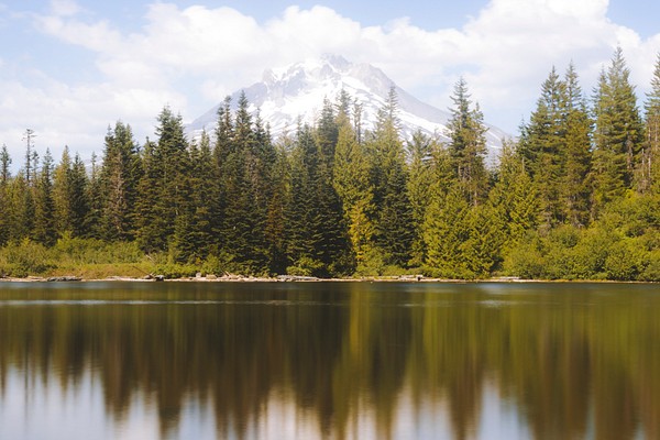 View of forest by the lake | Free Photo - rawpixel