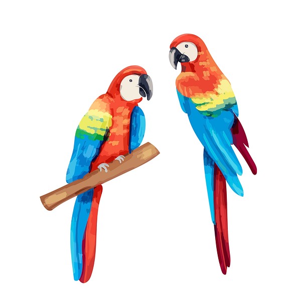 Hand drawn pair of parrots | Premium Vector Illustration - rawpixel