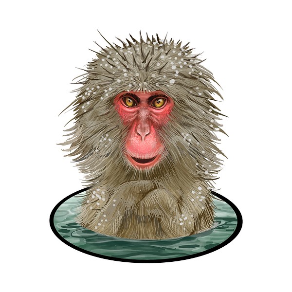 Japanese macaques an Onsen illustration | Premium Vector Illustration ...