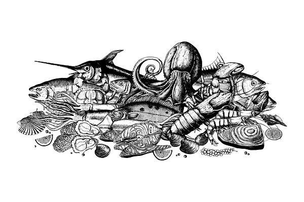 Hand drawn of seafood concept | Premium Vector Illustration - rawpixel