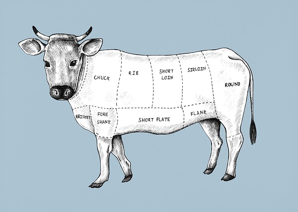 Hand drawn cut of beef | Free Photo Illustration - rawpixel