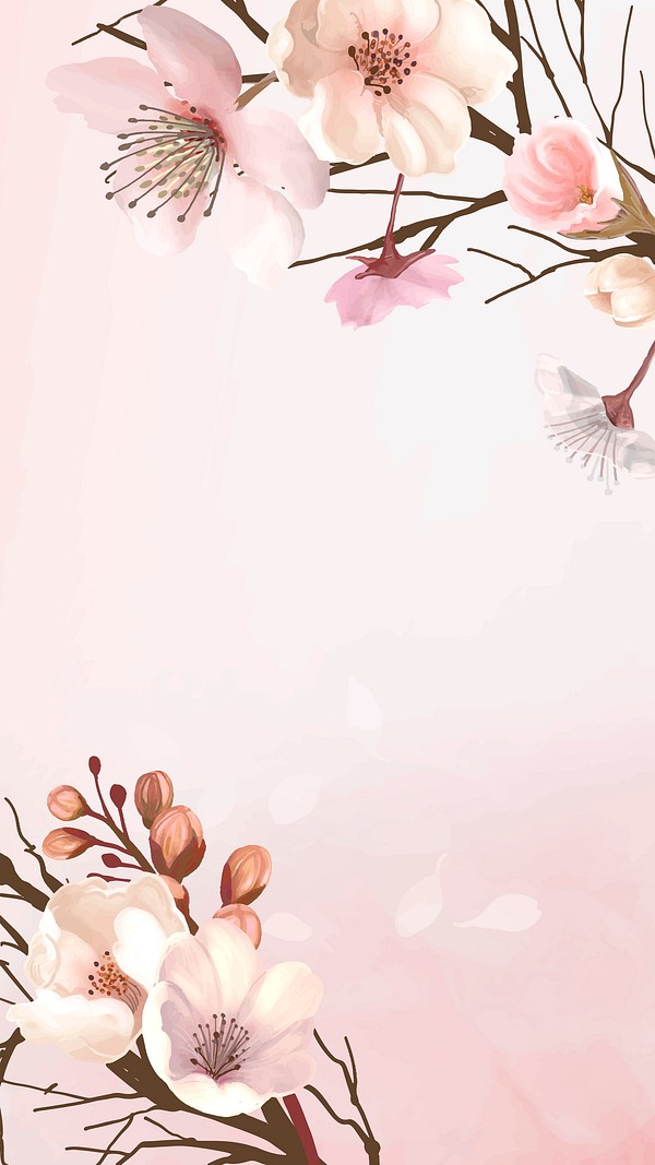 Hand drawn cherry blossoms on a pink | Premium Vector - rawpixel