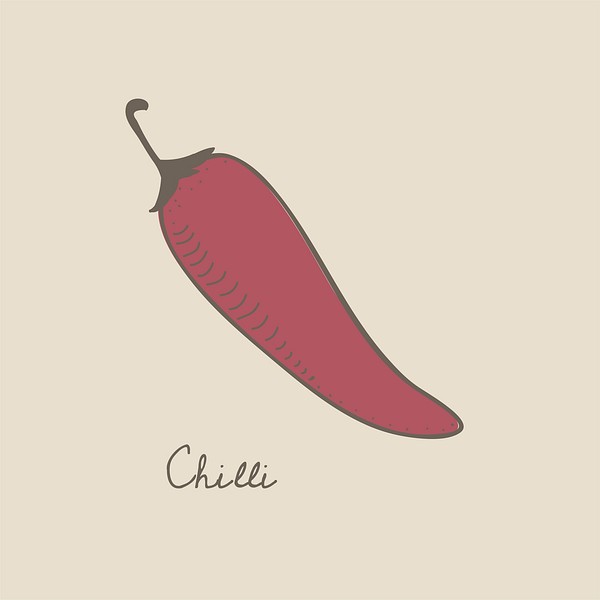 Vector of a chilli | Free Photo Illustration - rawpixel