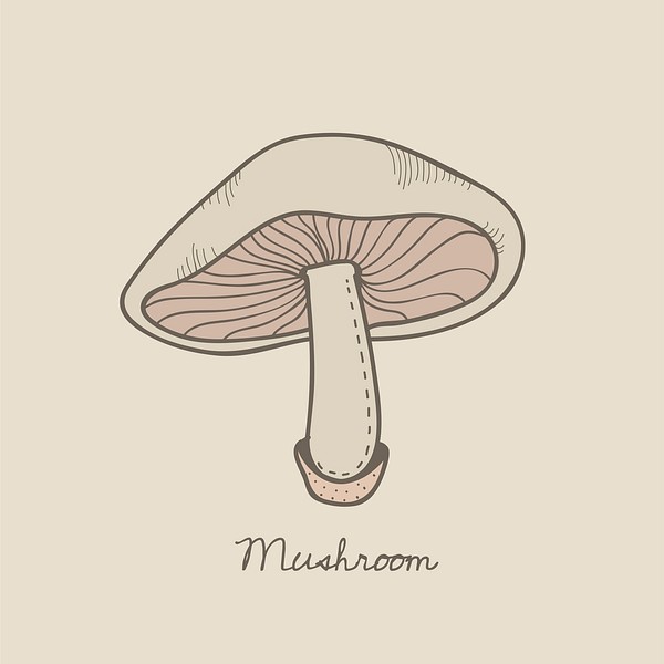 Vector of a mushroom | Premium Vector Illustration - rawpixel