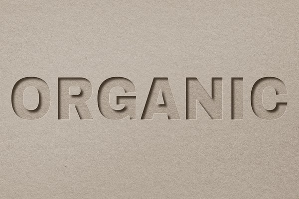 Organic paper cut font typography | Free Photo - rawpixel