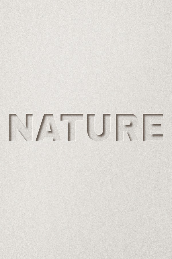 Nature paper cut font typography | Free Photo - rawpixel