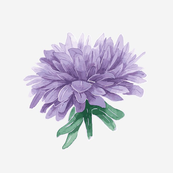 Classic purple daisy hand drawn | Premium Photo - rawpixel