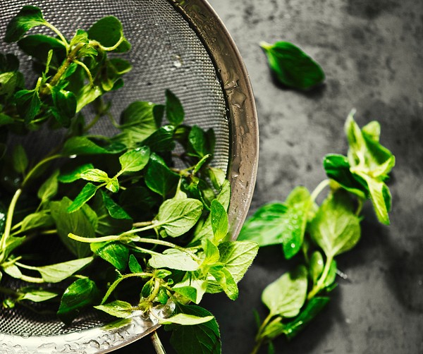 Closeup fresh organic sweet basil | Premium Photo - rawpixel