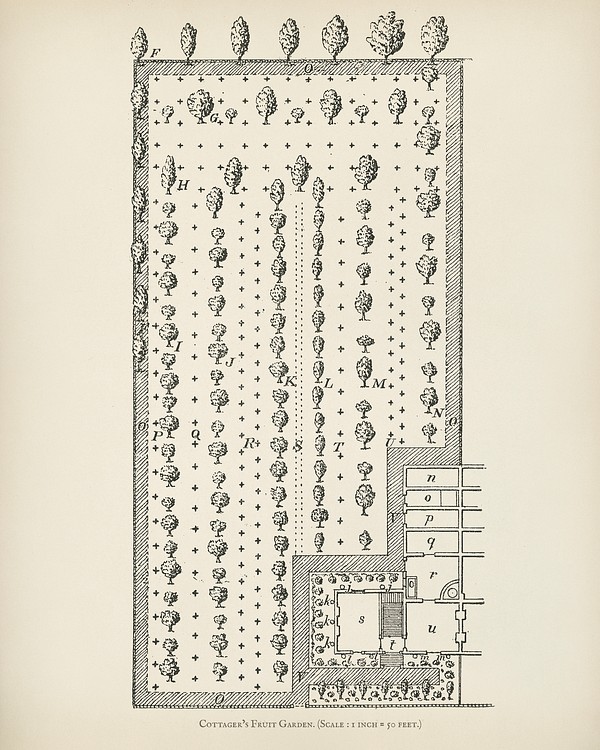 The fruit grower's guide : | Premium PSD Illustration - rawpixel