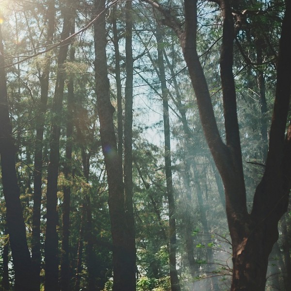 Quite Park Season Lonely Fallen | Free Photo - rawpixel